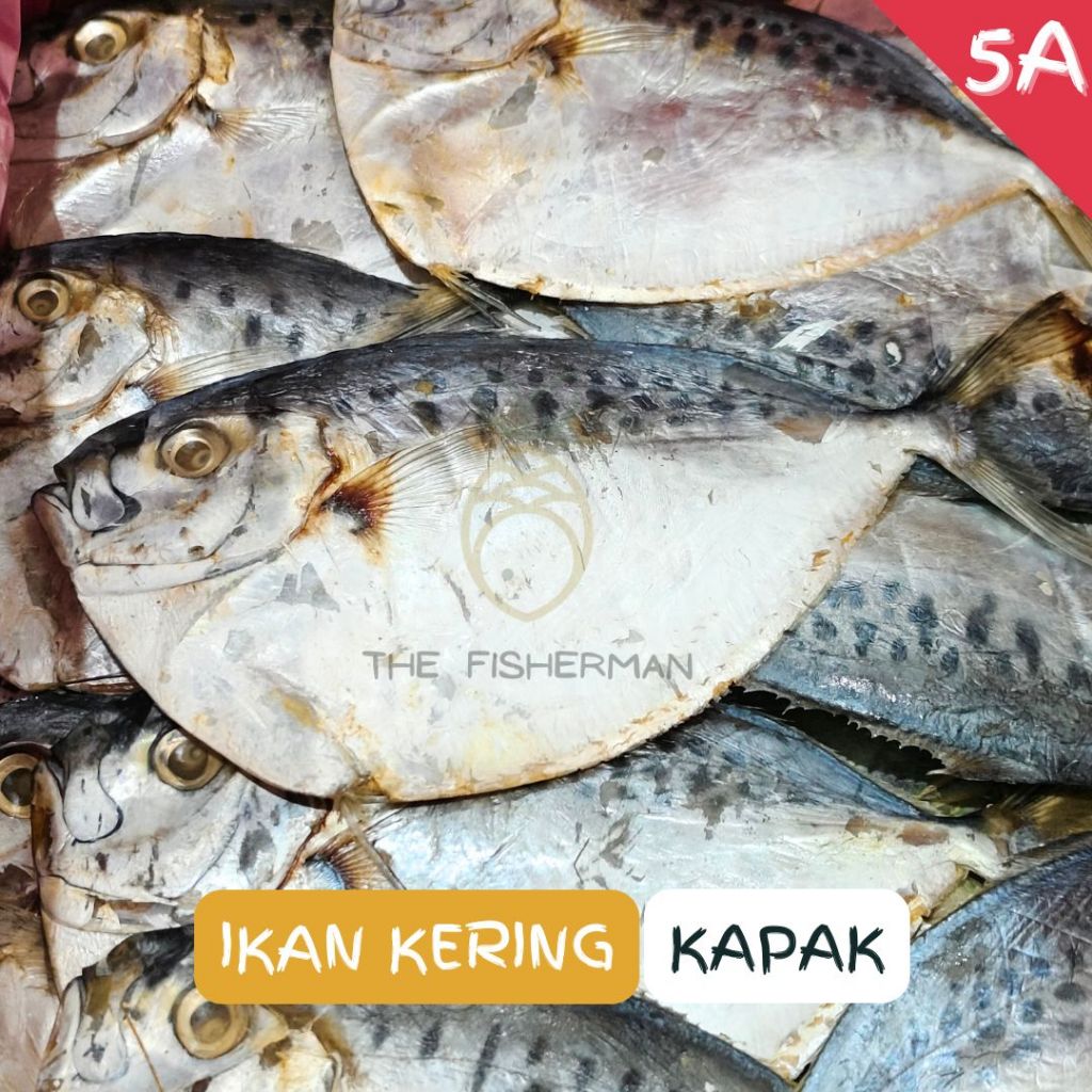 Ikan Masin Kapak 斧头鱼 Dried Fish Dry Fish Salted Fish 咸鱼 Ikan Kering ...