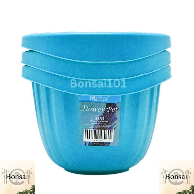🔥Bonsai168🔥Flower Pot Round Flower Pot In Orange & Blue Colour Pasu ...