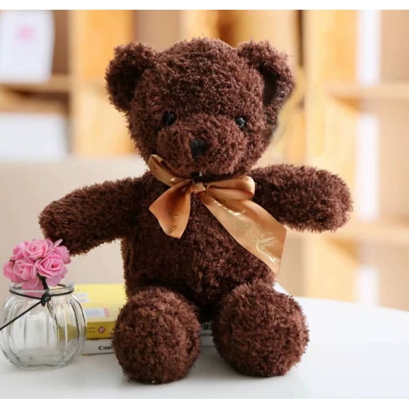 Gabby Teddy Bear 50cm | Shopee Malaysia