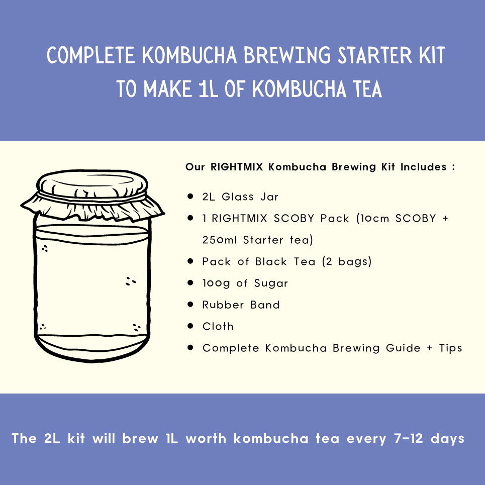 Rightmix Culture Kombucha Brewing Starter Kit [with Complete Step-by-step Guides to make 1L of ...