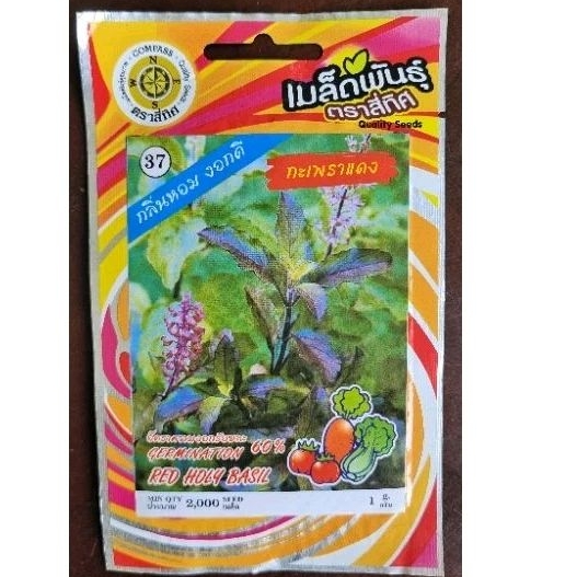 Thai red basil seeds 1g. เมล็ดกะเพราแดง | Shopee Malaysia