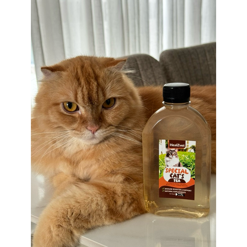 UBAT MERAWAT PARVO VIRUS , DEMAM & SELSEMA KUCING ( Air Rebusan Rumput ...