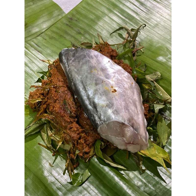BOTOK-BOTOK IKAN TENGGIRI VIRAL | Shopee Malaysia
