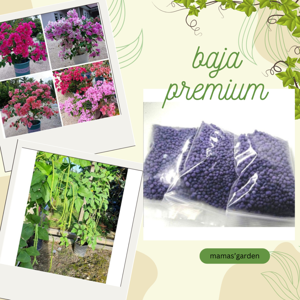 Baja Buah Premium Untuk Paksa Berbuah / Bunga, Untuk Semua Jenis ...