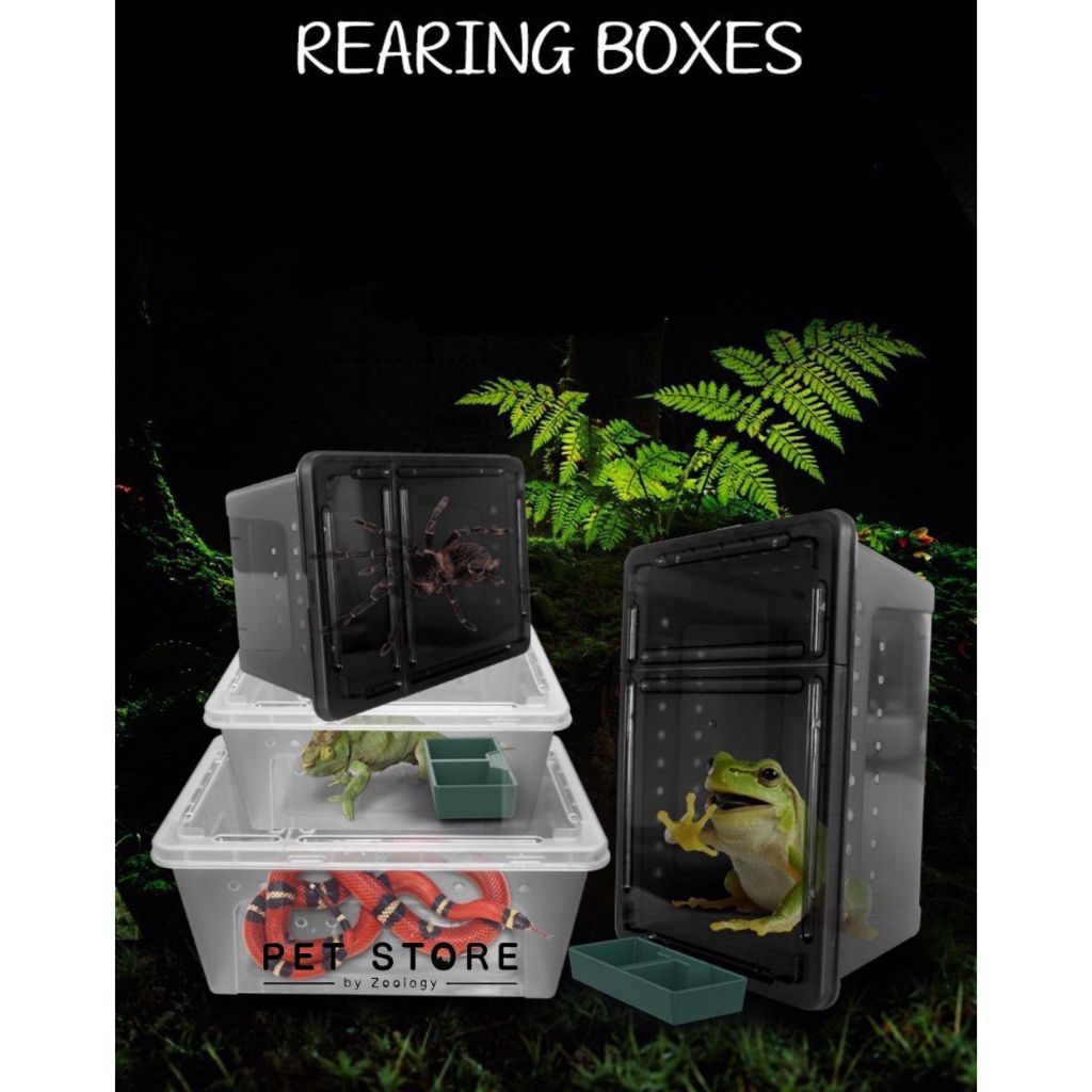 NOMOY PET - Reptile breeding box rearing container (plastic herp box ...