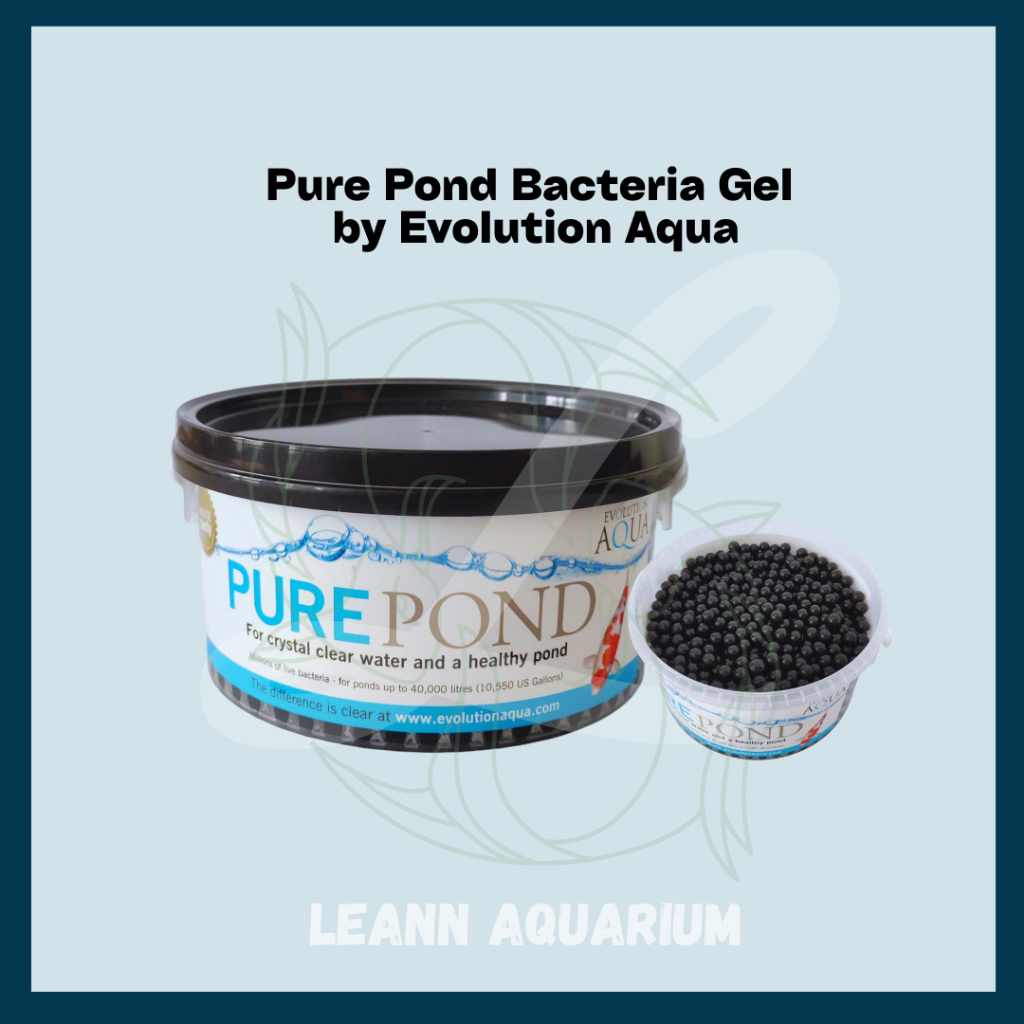 🔥Hot🔥 PurePond Gel Bacteria 50g 100g Evolution Aqua Pure Pond (Expired date : July 2027 ...