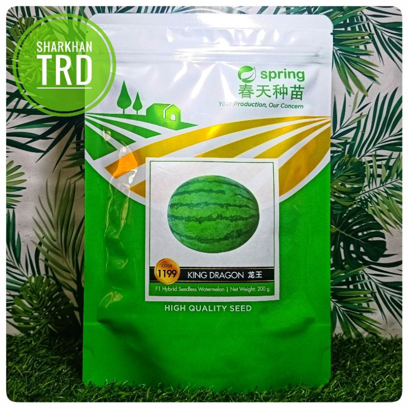 Paket 200g (+-3000 Biji) KING DRAGON 1199 Spring Seeds Biji Benih ... Paket 200g (+-3000 Biji) KING DRAGON 1199 Spring Seeds Biji Benih ...