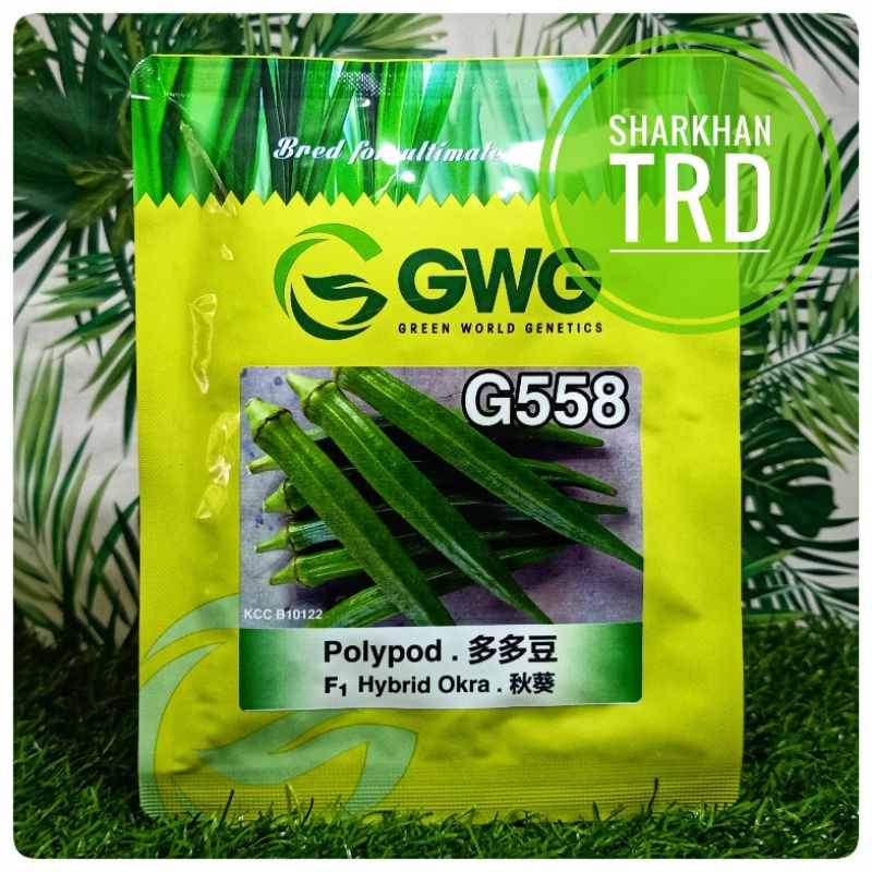 HOT🔥Paket 50-200g (500-2000 Biji) G558 POLYPOD GWG Leckat Biji Benih Kacang Bendi Hijau Gelap F1 ...