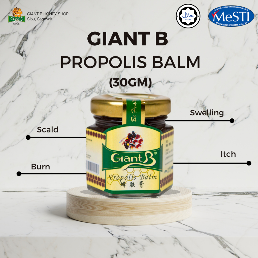 [HALAL] GIANT B Propolis Balm Balsem Propolis 蜂胶膏 30g (External Use ...