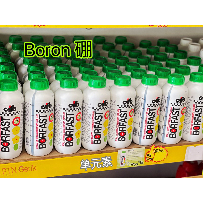 1L Cifo BORFAST Boron硼 - 单元素产品 RM58.80 | Shopee Malaysia