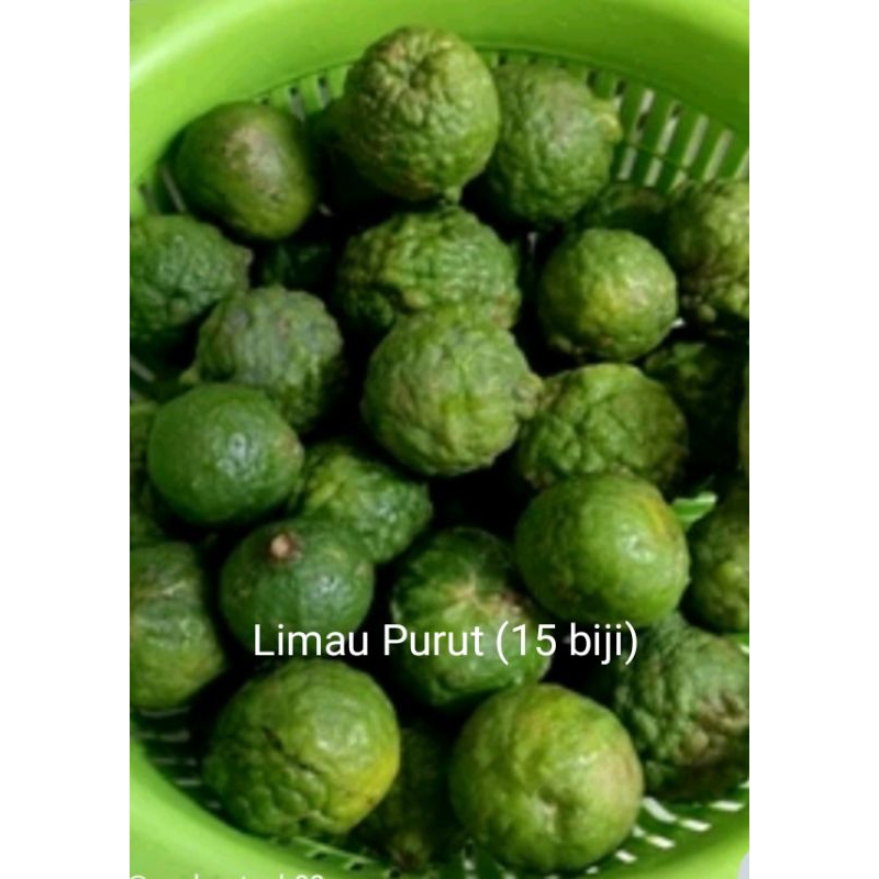Limau Purut 15biji /Daun Limau 100gm | Shopee Malaysia