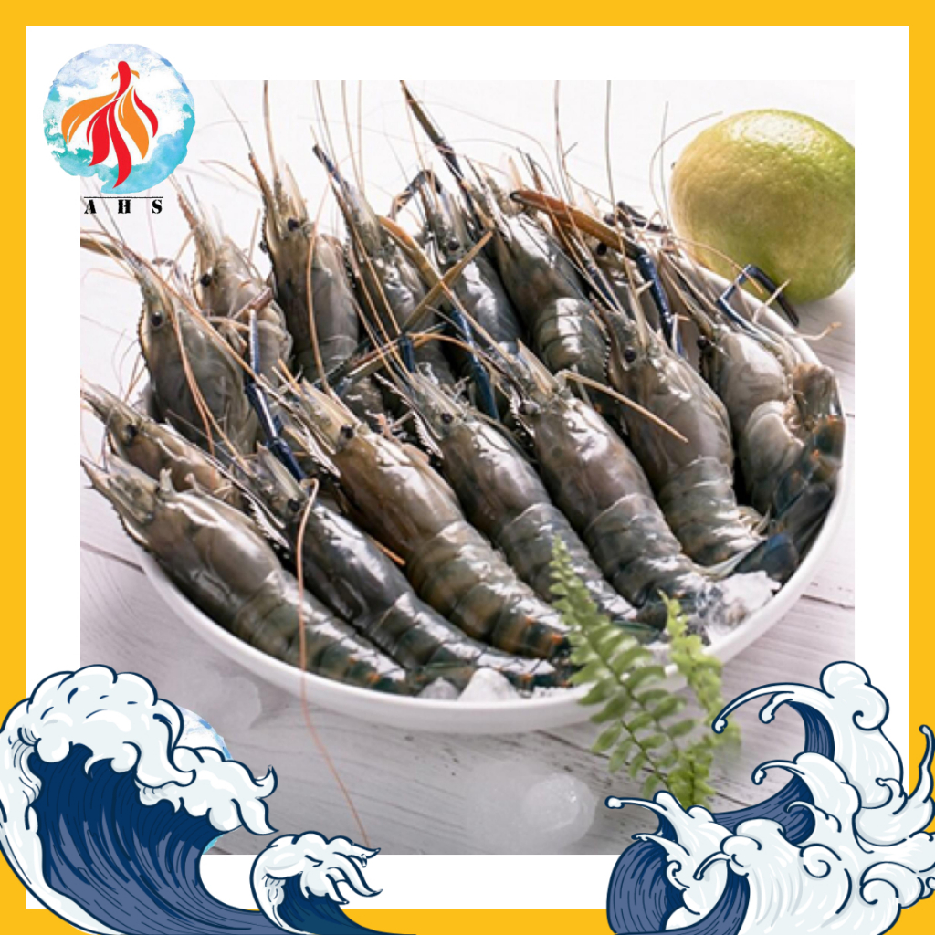U10 Big Head Prawn / Udang galah /大头生虾 / Scampi Allo Ha Seafood ...