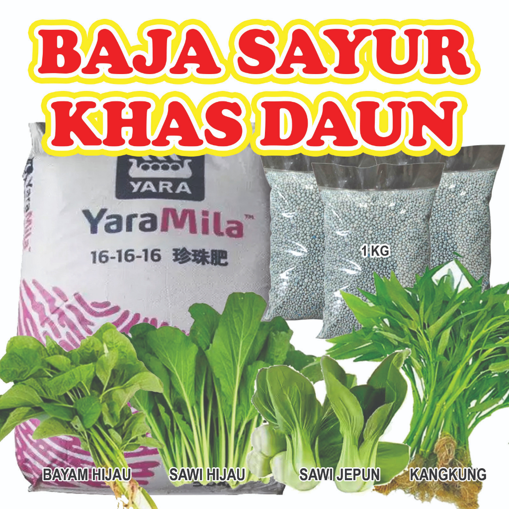 Baja Sayur Sayuran Berdaun Kangkung Sawi Pak Choi Bayam Subur Gemuk Tahan Penyakit Yara Mila 16 ...