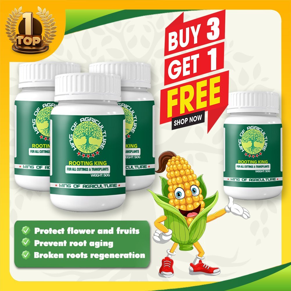 [Fresh Combo 3 FREE 1 ] Rooting King Powder - New generation fertilizer ...