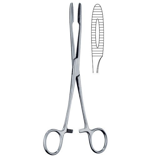 Gross-Maier Dressing Forceps Straight 20cm with Ratchet Surgical ...
