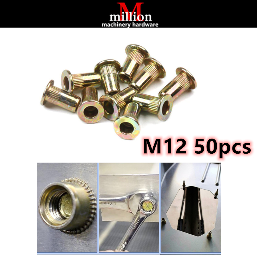 (50pcs / 100pcs) M3 M4 M5 M6 M8 M10 M12 Carbon steel Rivet Nuts Flat Head Rivet Nut Set Nuts ...