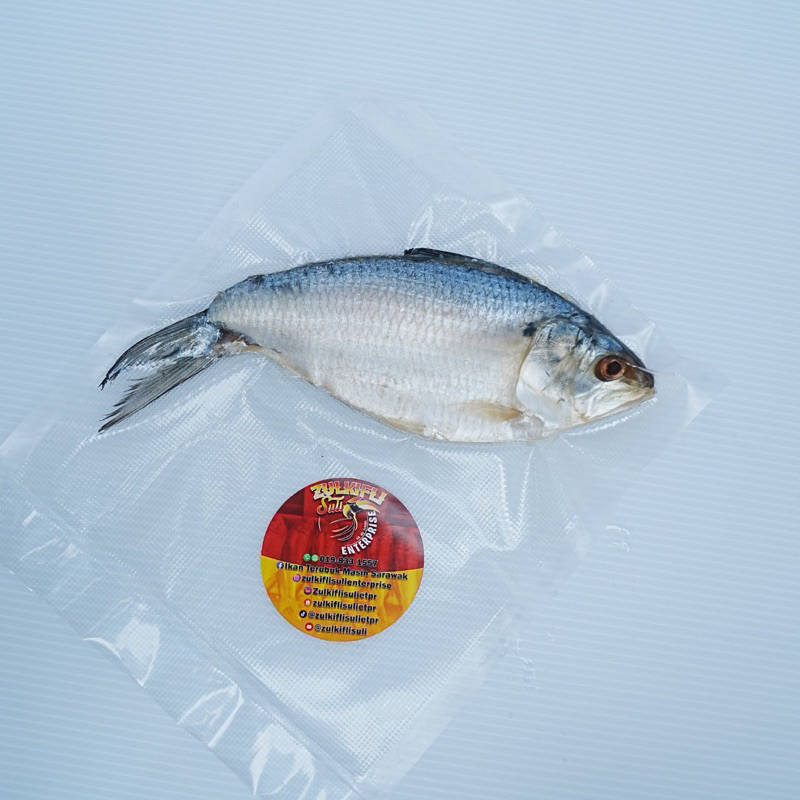 10 Ekor RM52 Ikan Terubuk Masin Sarawak Ready Stok | Shopee Malaysia