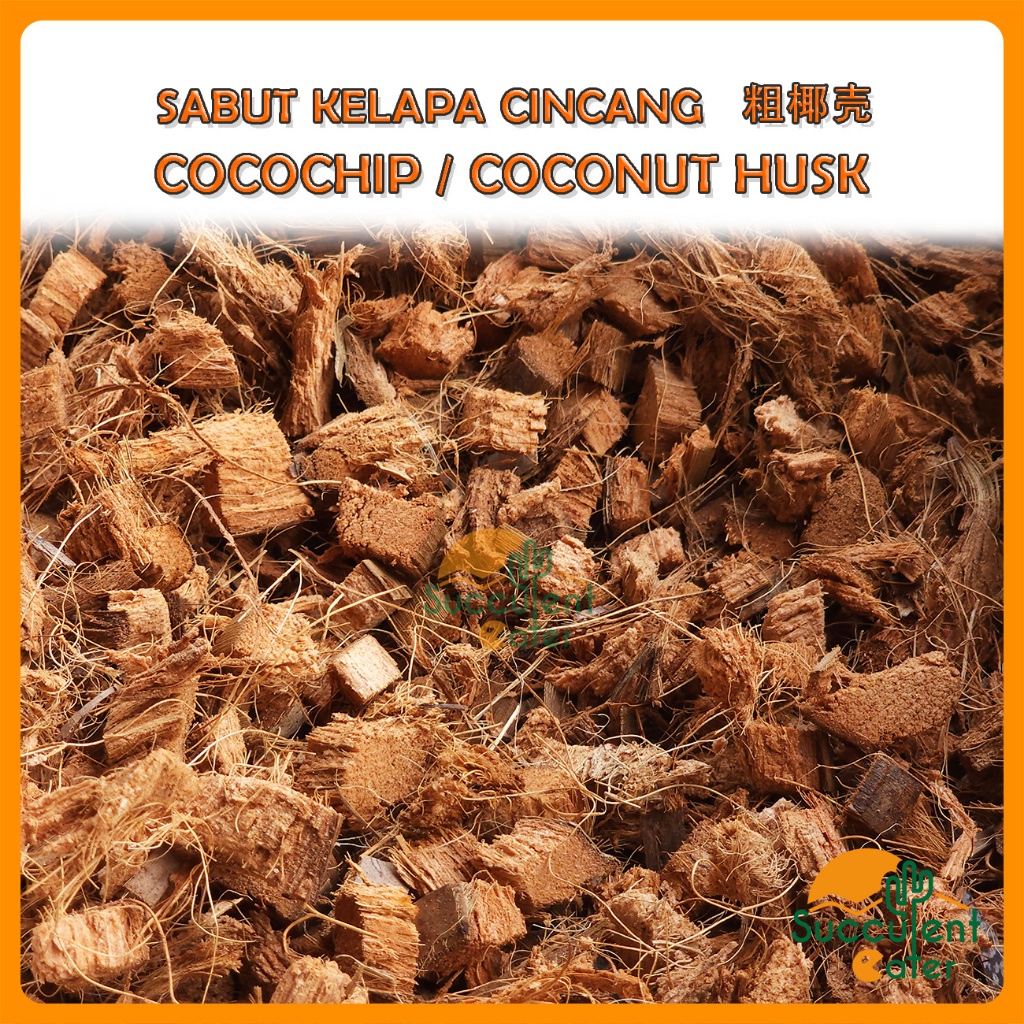 Cocochip Cocohusk Fibre Coconut Husk Sabut Kelapa Cincang 粗椰壳碎块丝 ...