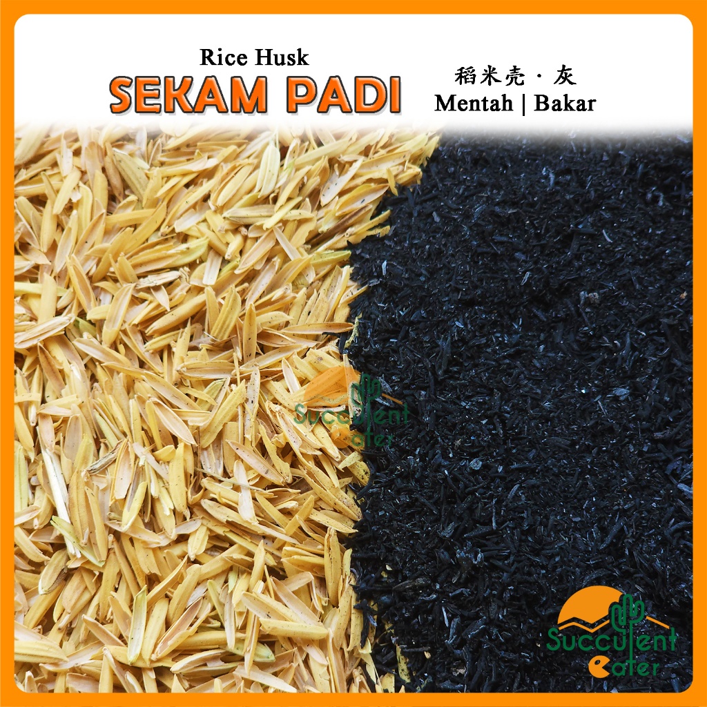 1L Sekam Padi Mentah Sekam Padi Bakar 稻米壳灰 Rice Husk Burn RIce Husk Ash ...