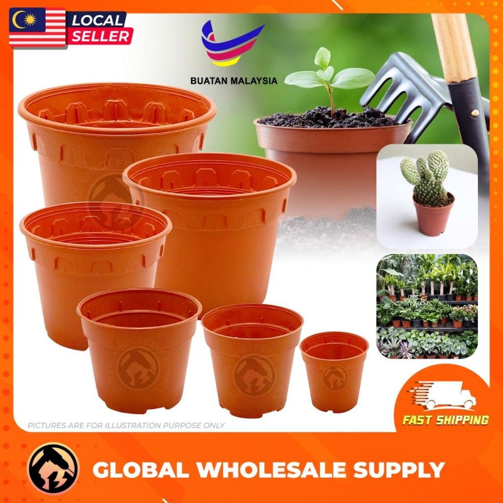 Plastic Plant Nursery Seed Starting Pots for Succulent Seedling Cutting ...