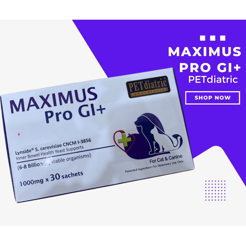 Probiotic for cat and dog Maximus Pro GI + 1 box (30 sachet) | Shopee Malaysia