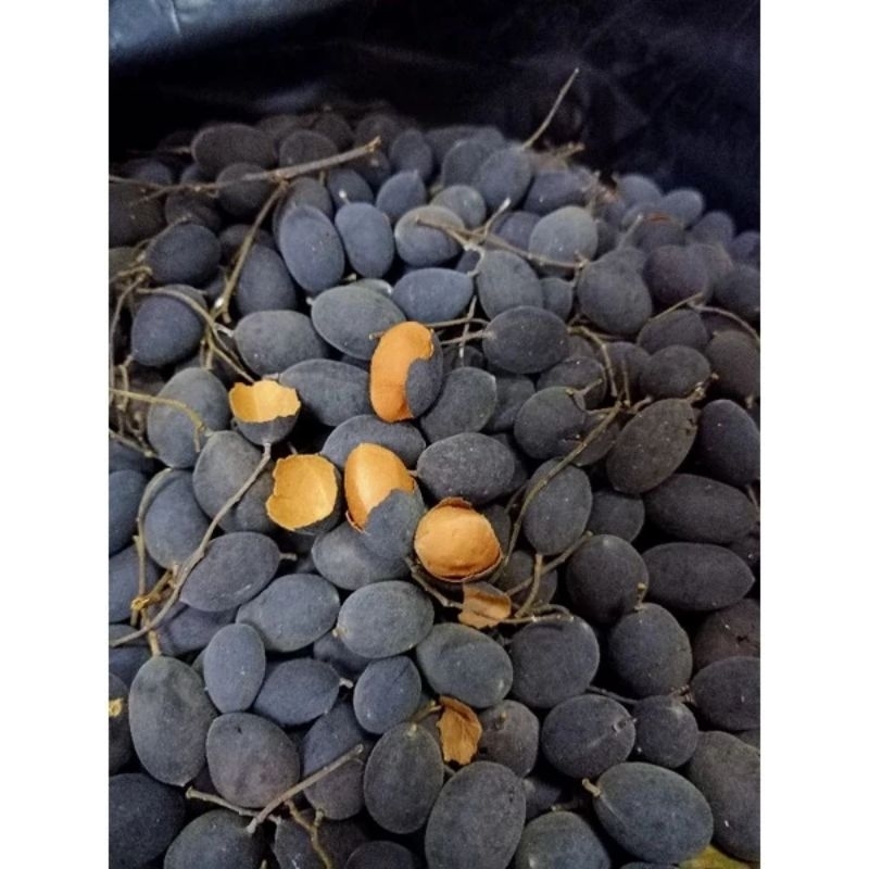 Asam Keranji Berkulit 250g/500g/1kg | Shopee Malaysia