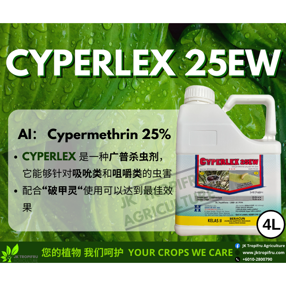 Cyperlex 25EW (4L) Racun Serangga Perosak/Pesticides/农药 【Synton,Cyper ...