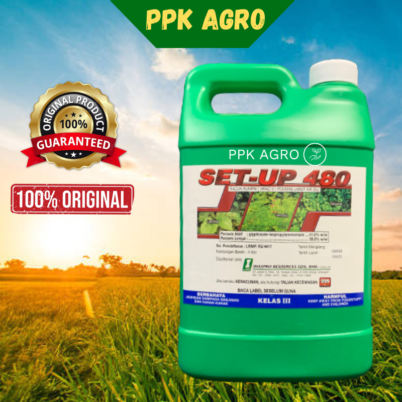 4L SET-UP 480 GLYPHOSATE 41% RACUN RUMPAI /RACUN RUMPUT LALANG/RACUN ...