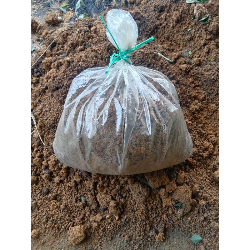 3KG Top soil / tanah kuning/ tanah subur / tanah tanaman | Shopee Malaysia