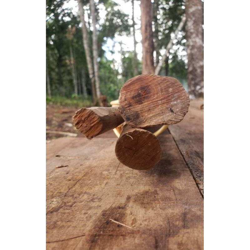 kayu tambun tahi (merah) | Shopee Malaysia