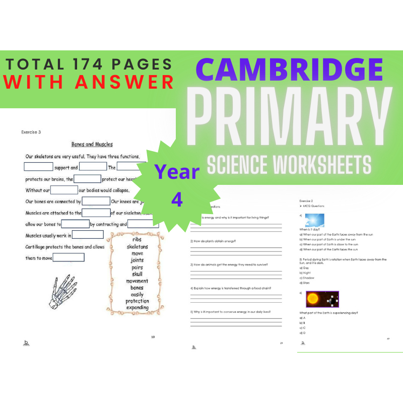 Cambridge Primary Science Worksheet Year 4 *PDF | Shopee Malaysia