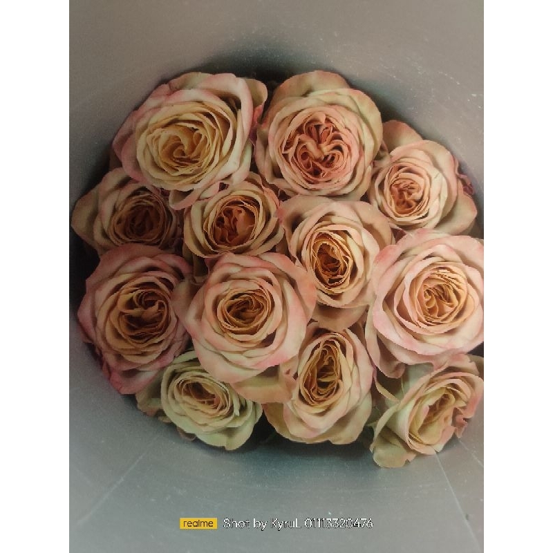 🌹Ready Stock 🌹 Roses 🌹20stalks🌹 Fresh Flower From Cameron Highlands 🌹🌹 ...
