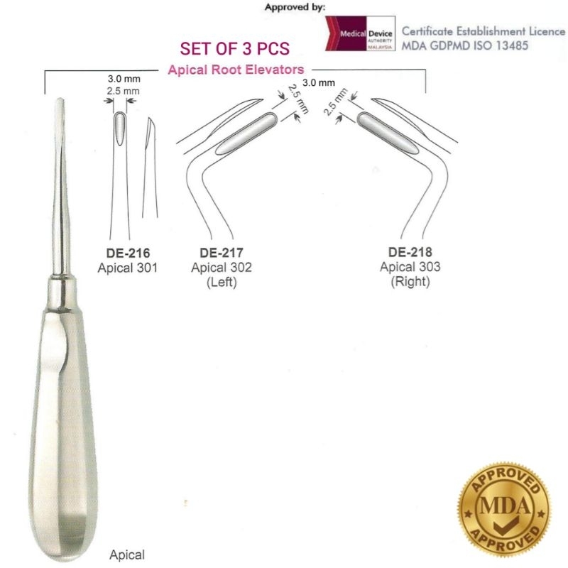 {3 PCS SET} Dental Apical Root Elevator Right Left & Straight Stainless Steel Dentists Gigi Hand ...