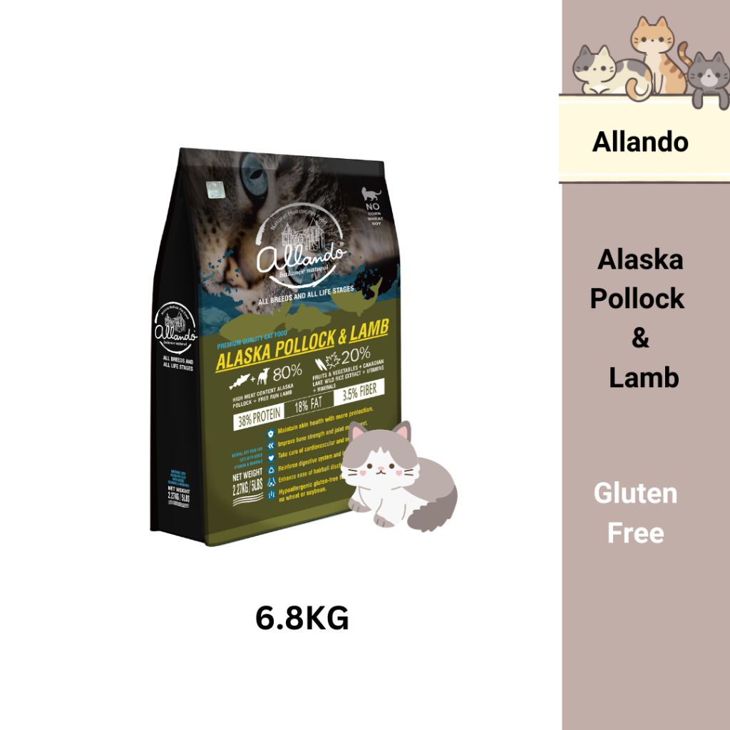 ALLANDO Gluten Free Super Premium Cat Food Whole Fish/Salmon Turkey ...