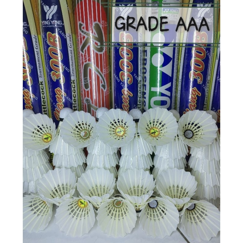 𝗟𝗶𝗺𝗶𝘁𝗲𝗱 𝗦𝘁𝗼𝗰𝗸 Used badminton shuttlecock with Grade AAA (12pc/tube ...