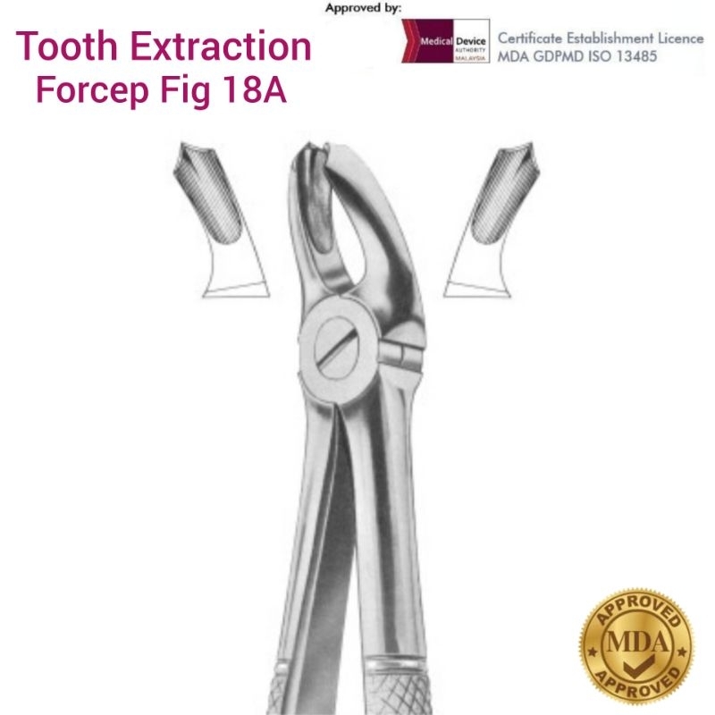 Dental Tooth Extraction Forceps Fig 18A Upper molars either side Adult ...
