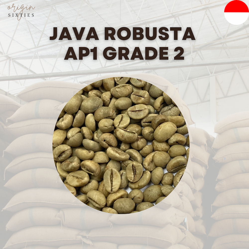 Java AP1 Robusta Raw Coffee Beans | Shopee Malaysia