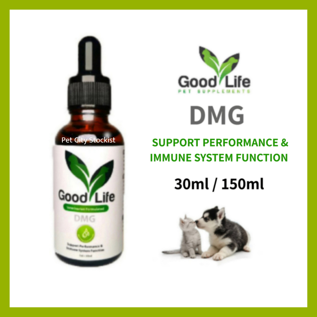 ( Stock Clearance ) GoodLife DMG Immune Booster for Cats & Dogs ...