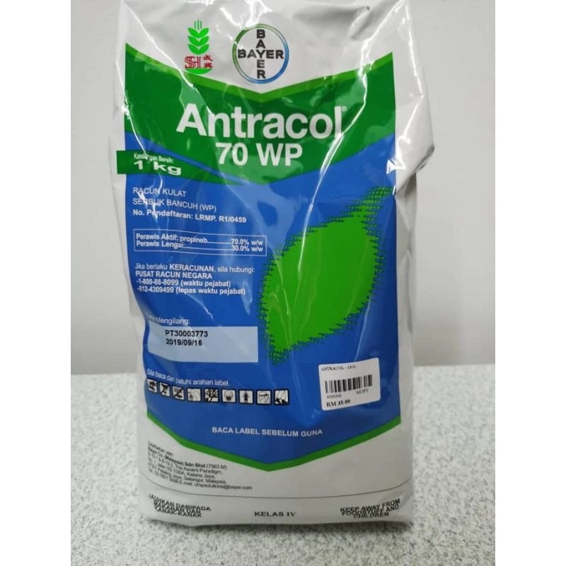 ANTRACOL 70 WP REPACK (RACUN KULAT) | Shopee Malaysia