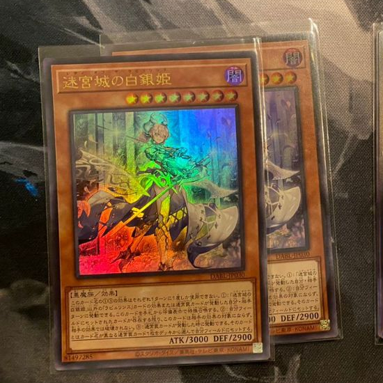 DABL-JP030 Lady Labrynth of the Silver Castle (UR) | Shopee Malaysia