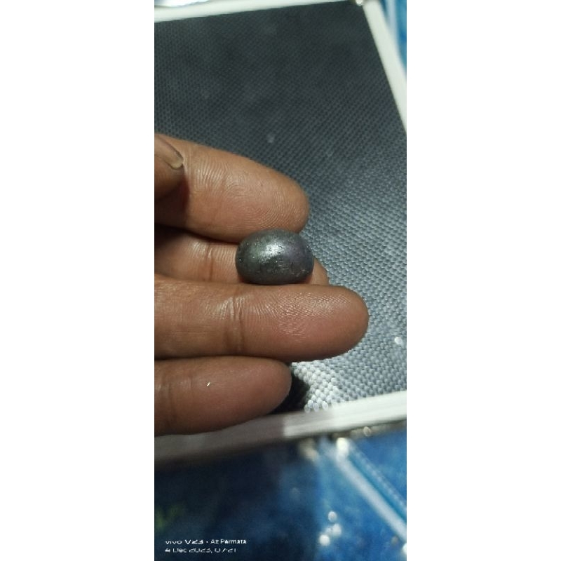 Permata Badar Panglima Besi ( kayu jadi batu jadi besi ) | Shopee Malaysia