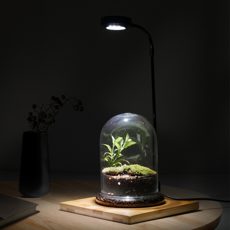 3W,5W,7W,9W Lampu tumbuhan /Terrarium LED Plant Light / Grow Light ...