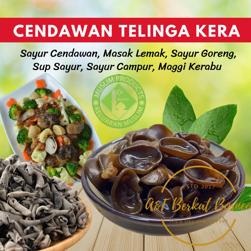 Premium Wild Black Fungus Small | Sayur Cendawan Telinga Kera | Muslim ...