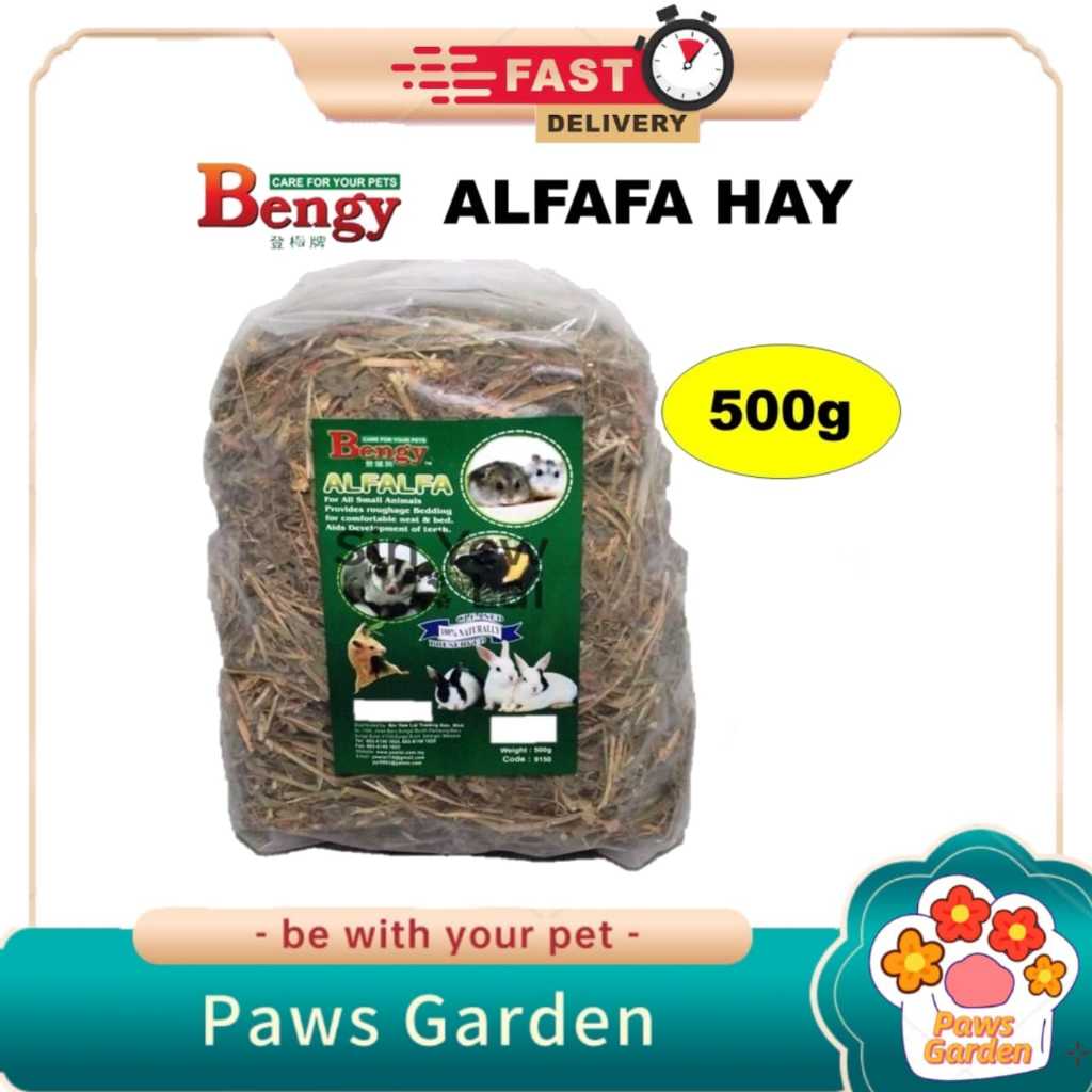 Bengy alfalfa 500g Makanan Arnab Rabbit Food Small Animal Food Rumput ...