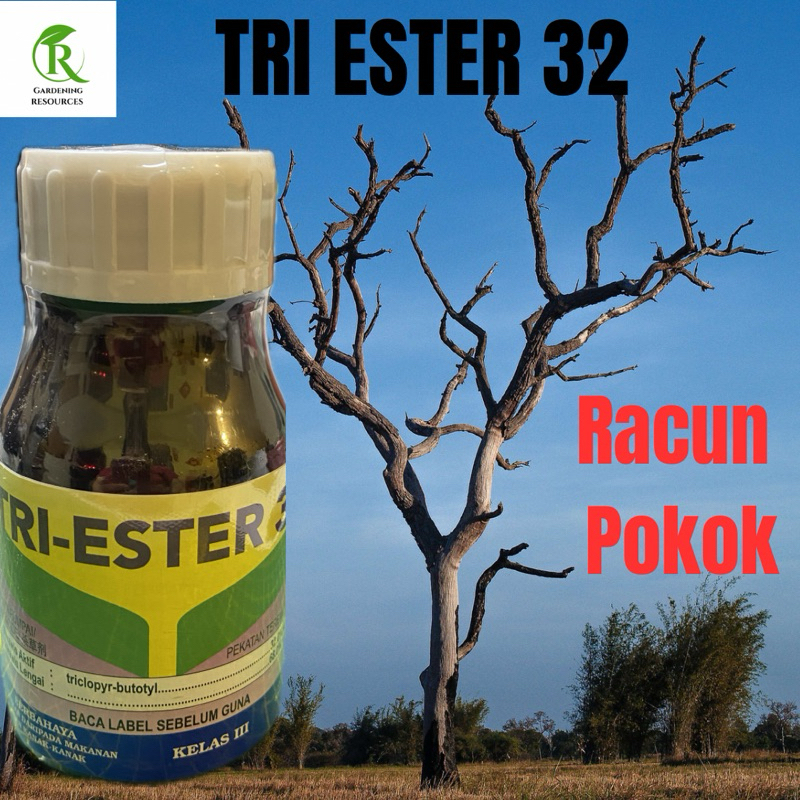 Tri Ester 32 Racun Matikan Pokok 250ml 500ml 1 Litre Tree Killer杀树剂 ...