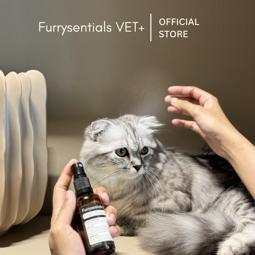 Furrysentials VET+ (Fungal / Bacteria Infection Spray) | Shopee Malaysia