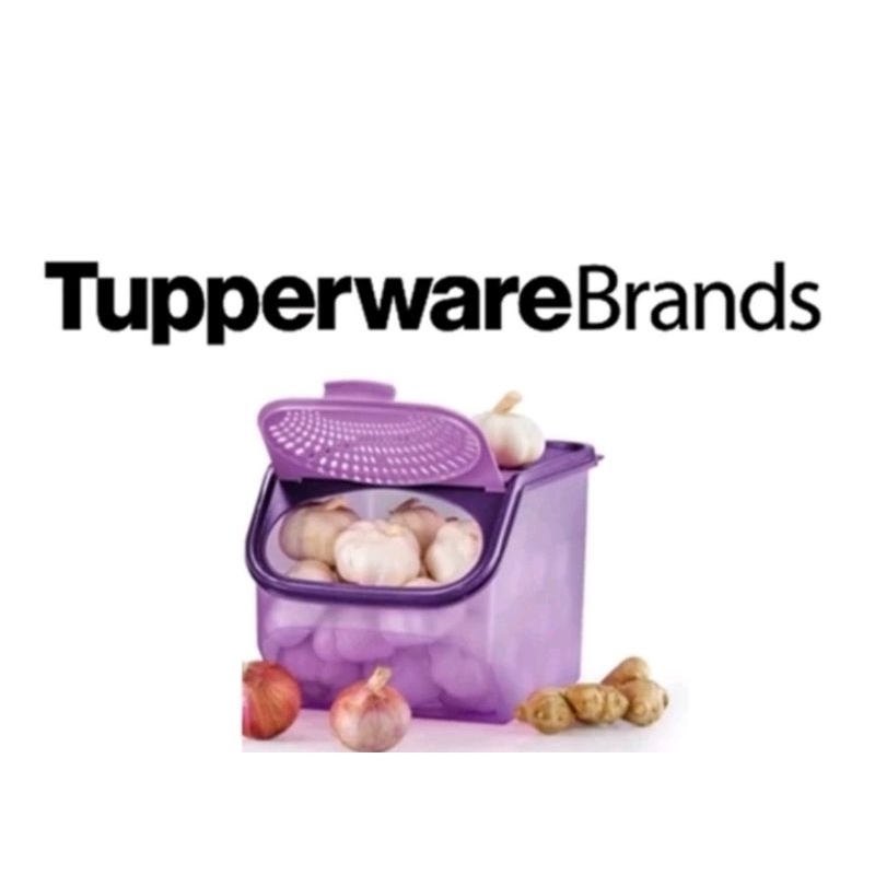 TUPPERWARE GARLIC KEEPER (1PCS) | Shopee Malaysia