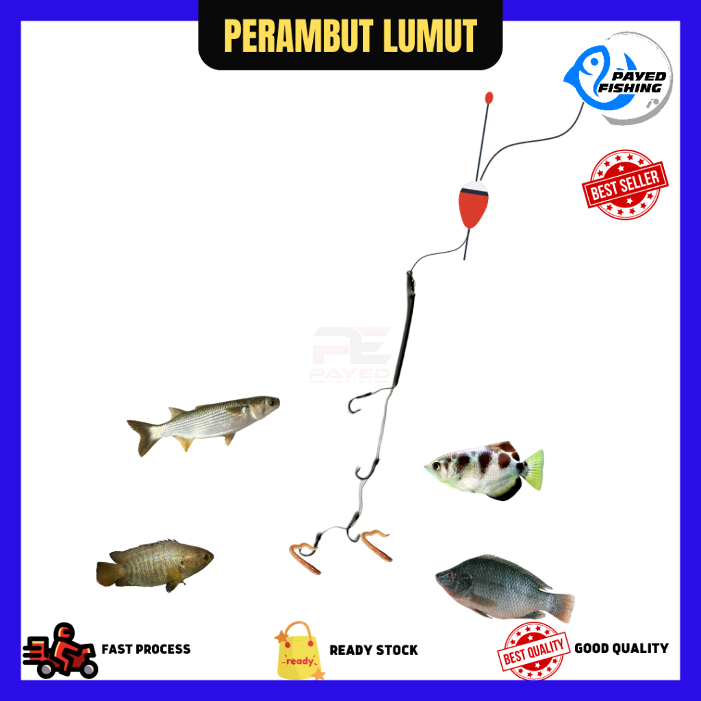 Perambut LUMUT Sulam Matakail Kecil Untuk Ikan Kawasan Atas Air (1 SET ...