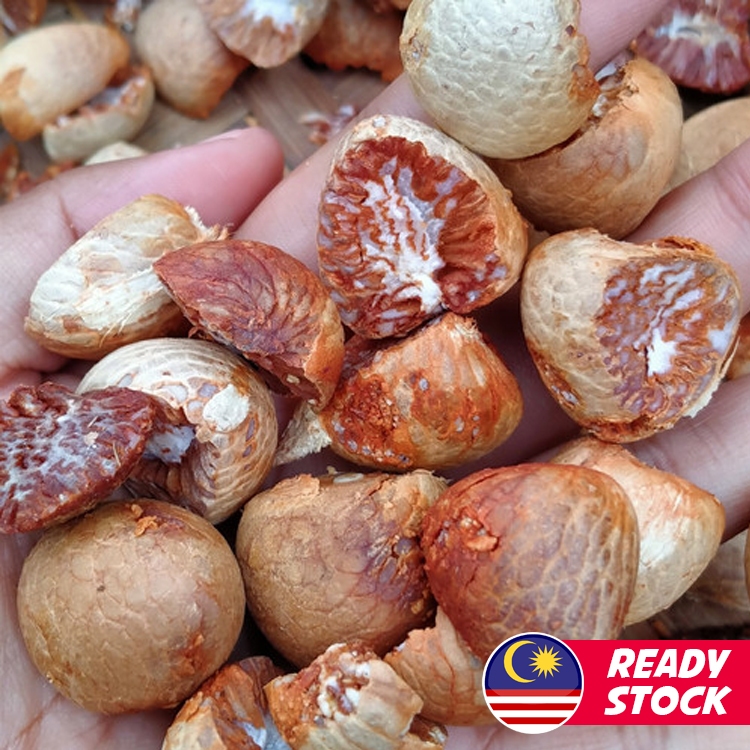 BUAH PINANG KERING DIBELAH DUA / ARECA NUT CUT IN HALF | Shopee Malaysia