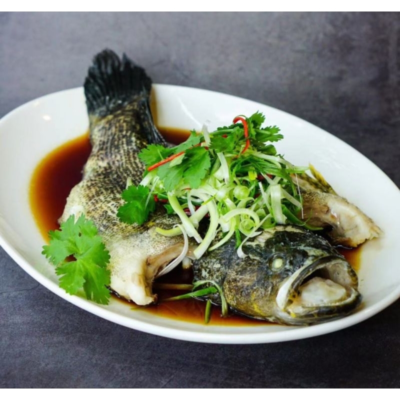 FRESH FROZEN SOON HOCK FISH 2.5kg in total weight (野生笋壳鱼/ marble goby ...